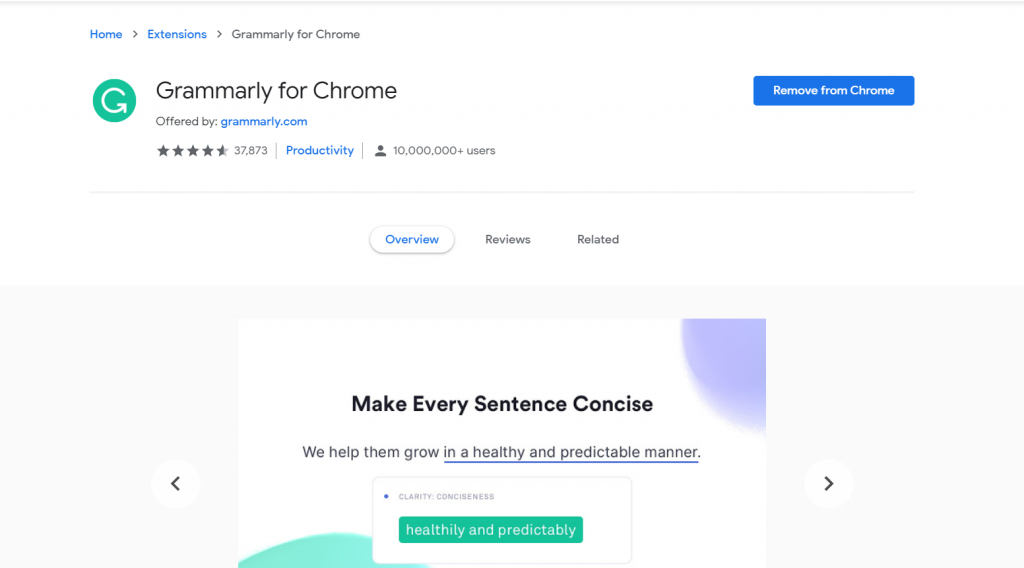 Grammarly Review: Is It The Best Tool For Content Writers?